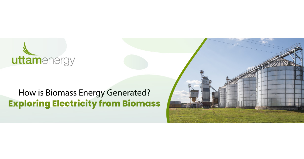 How is Biomass Energy Generated? Exploring Electricity from Biomass