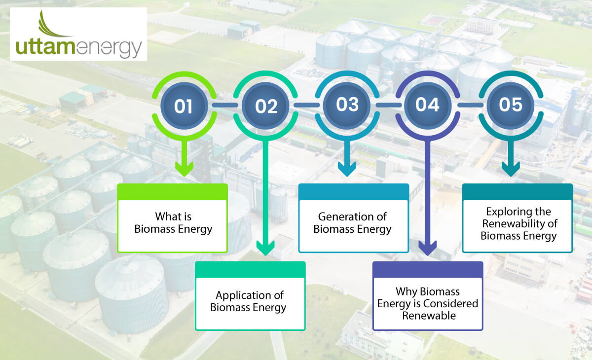 Understanding Biomass Energy: Is it Renewable or Not? - Uttamenergy Limited